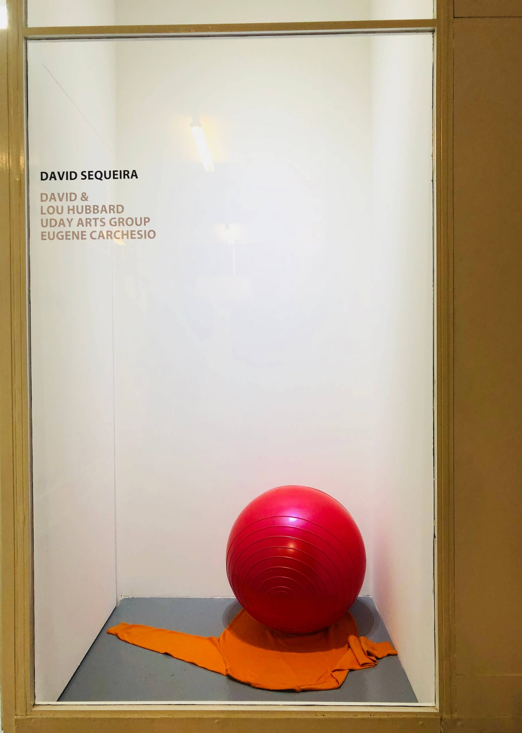 David & | David Sequeira