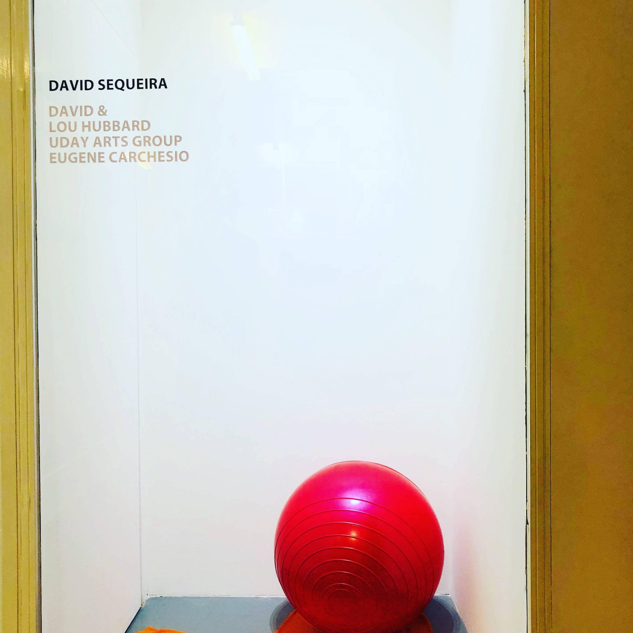 David & | David Sequeira